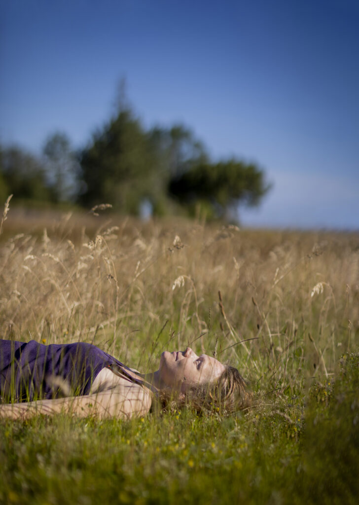 OM HEYLAND - Heyland